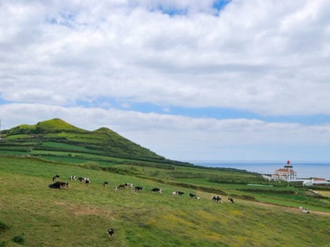 Ponta da Ferraria, a unique ocean experience in the Azores